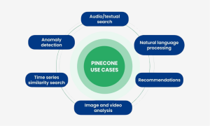 Pinecone AI: The Future of Search or Just Another Tech Hype?